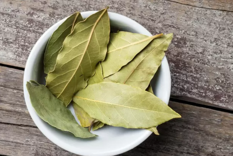 10 espécies de plantas ideais para espantar insetos | Blog Telhanorte